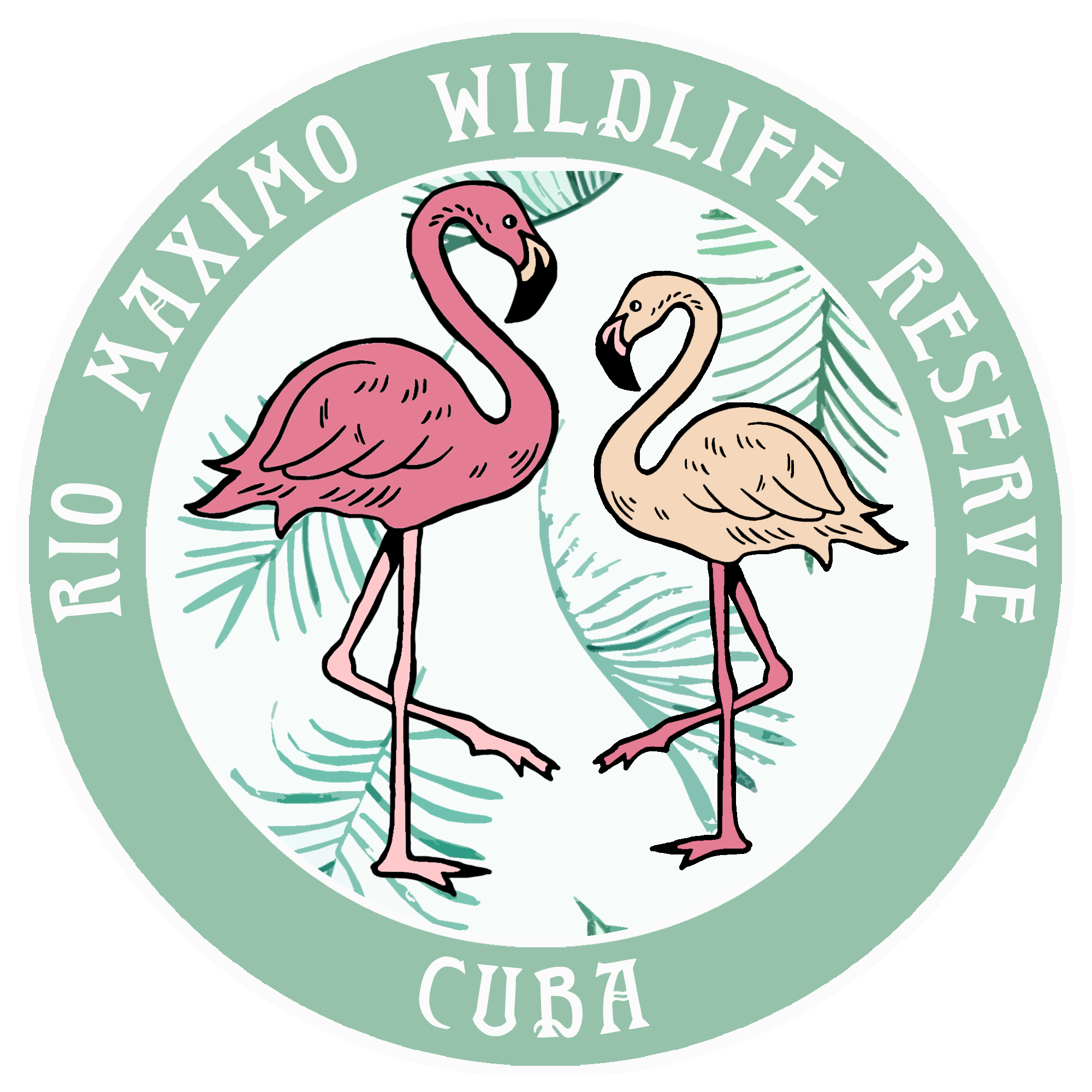 Flamingos Rio Maximo Wildlife Reserve Car Truck Window Bumper Sticker ...